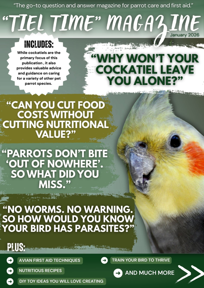Cockatiel Advice and First Aid 101 - Magazine